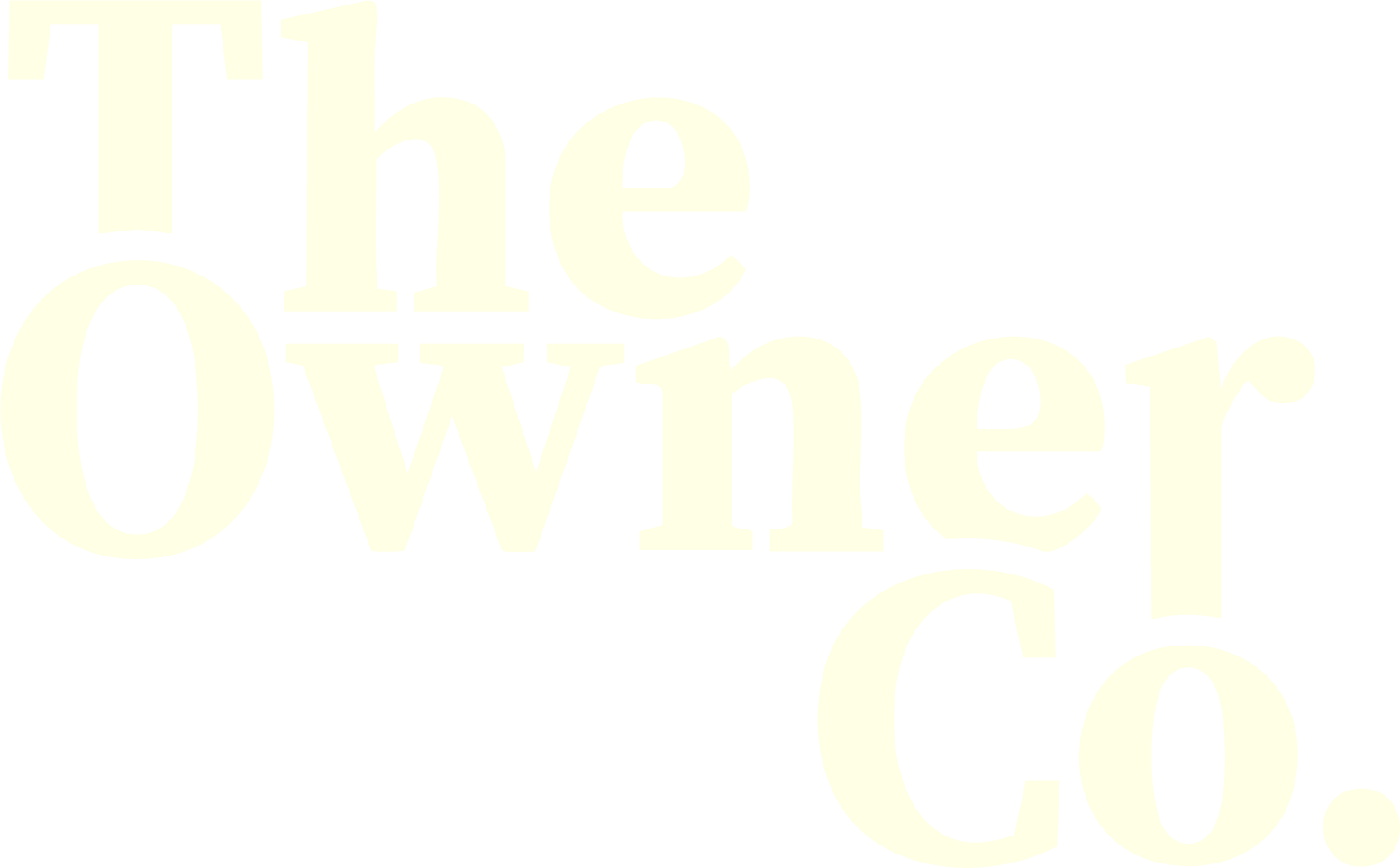 The Owner Co. | Camisetas Essenciais - Edição Limitada